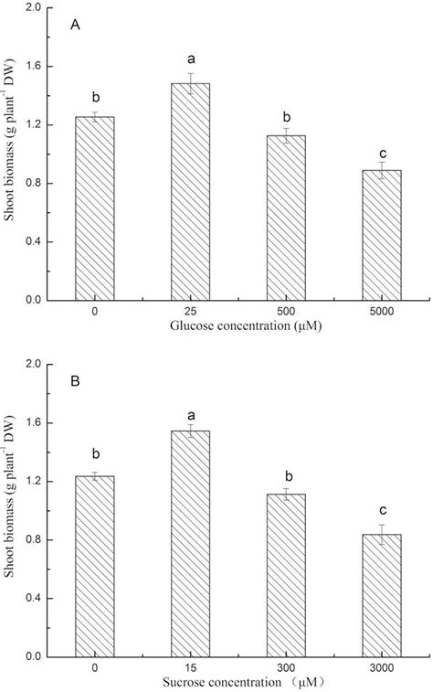 Glucose And Sucrose Supply Regulates The Uptake Transport And Metabolism Of Nitrate In Pak