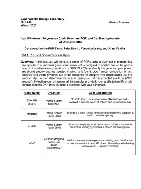 Lab Protocol 5 Download Free Pdf Polymerase Chain Reaction Rna