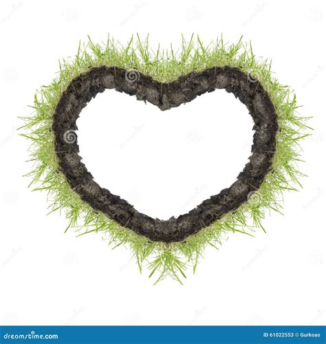 Heart Of Green Grass Stock Image Image Of Pasture Growth 61022553