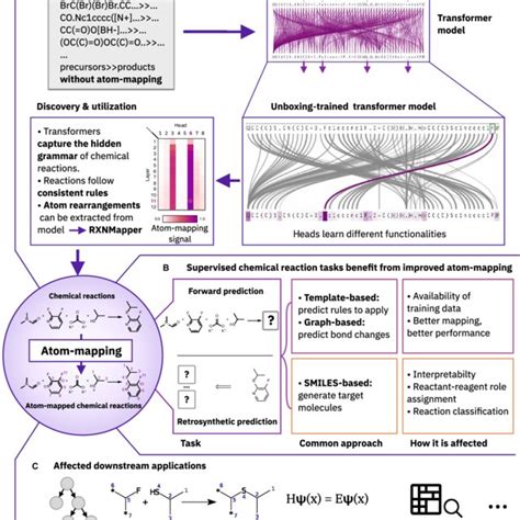 Overview A Process That Led To The Discovery Of The Atom Mapping Download Scientific Diagram