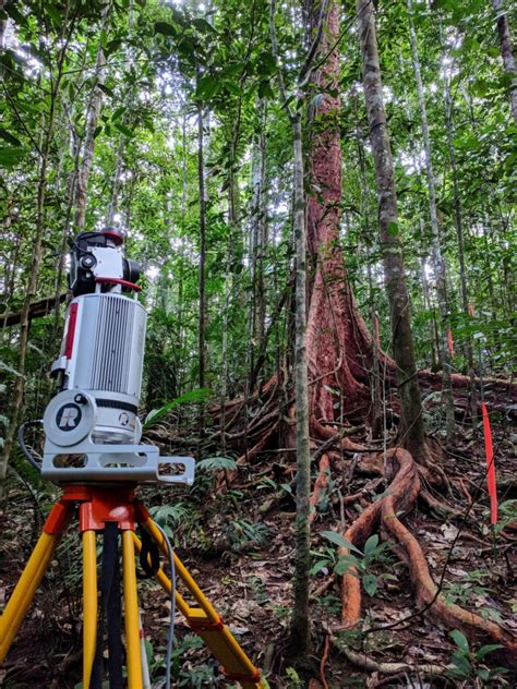 Novel LiDAR Data Improves Our Understanding Of Tropical Forests LiDAR News