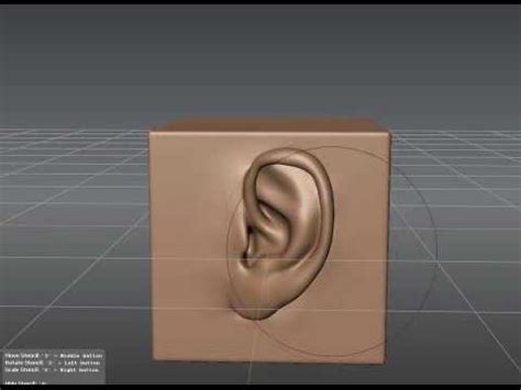 ZBrush Vector Displacement Maps Polycount