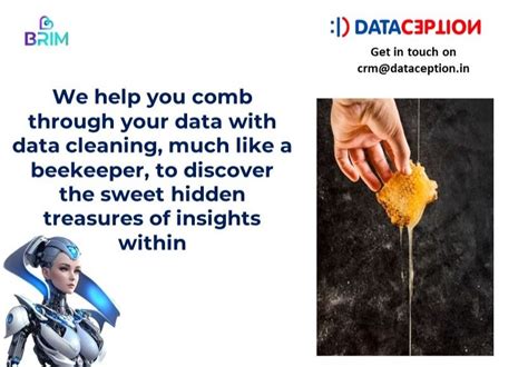 Datacleaning Datainsights Beekeeperofdata Hiddentreasures