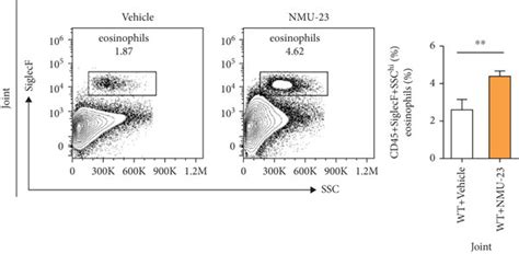 Nmu 23 Induced Ilc2 Expansion And Th2 Responses In The Joint Of