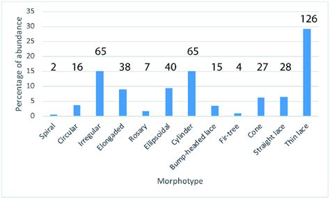 Relative Abundance Of The Morphotypes The Number Above Each Bar Is The