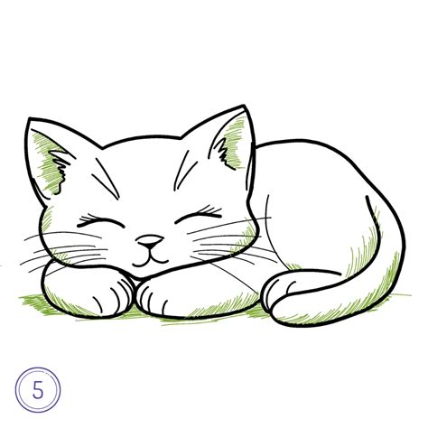 How To Draw Cat Laying Down