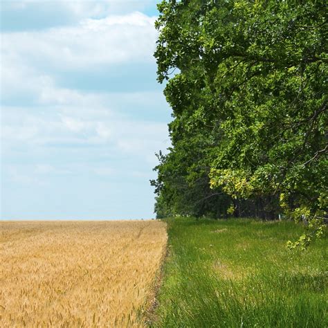 Ekonomics Ekonomicsag • Instagram Photos And Videos