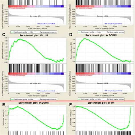 Summary Of Independent Microarray Experiments Compared In The Present