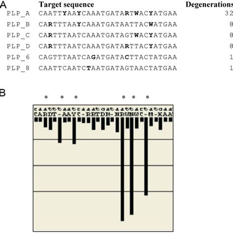 Padlock Probe Design A The Sequence Of The Six Padlock Probes With Download Scientific