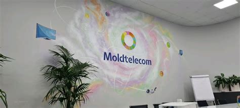 Radu Dumbrava On Linkedin Author Radu Dumbrava Dimensions 50 M2 Creation 2021 Client