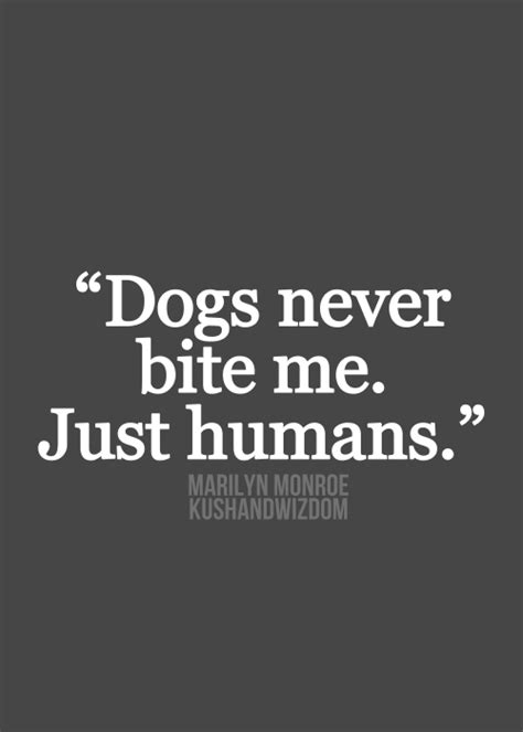 Classy Never Trashy Quotes Quotesgram Classy Never Trashy Quotes Quotesgram