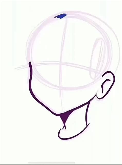 Cabeza Paso A Paso Dibujo