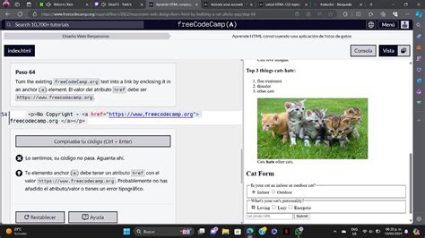 The Cat Step 64 Html Css The Freecodecamp Forum