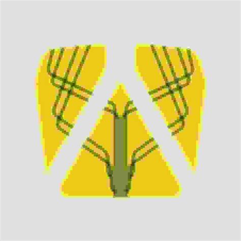 Brand New Items Rpi Is Your Source For C8 Corvettes Painted Parts