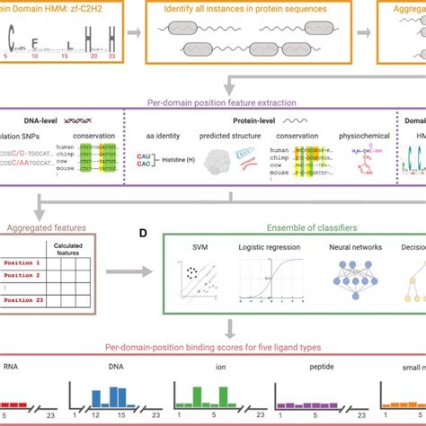 Comparative Performance For Predicting Dna And Peptide Binding Download Scientific Diagram
