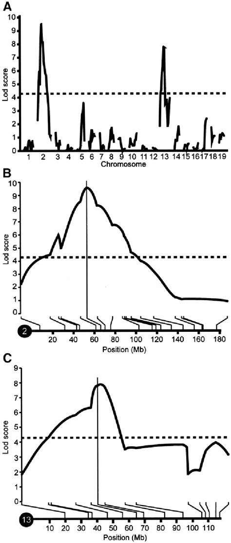Figure 2 From Identification Of Major Quantitative Trait Loci Controlling Body Weight Variation