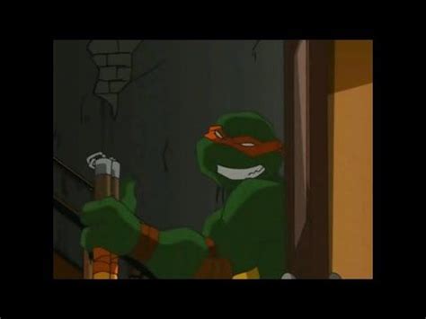 2003 Tmnt Funny Moments S1 Tmnt 2003 Pfp Michelangelo Ninja Turtle
