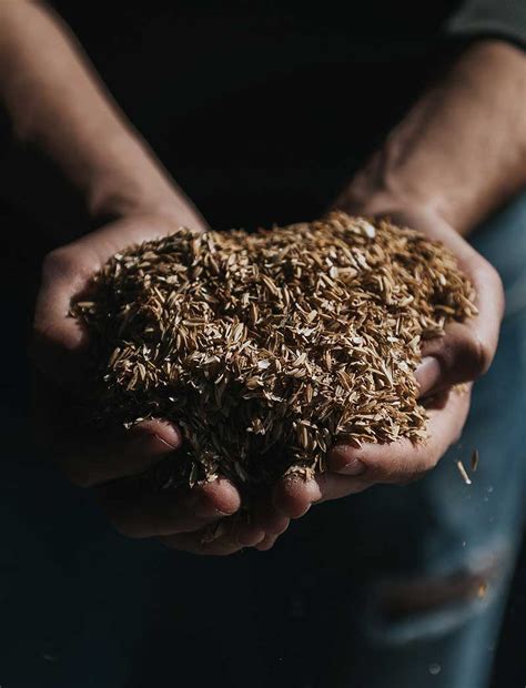 Lolla Di Riso Sfusa Cieffe Srl