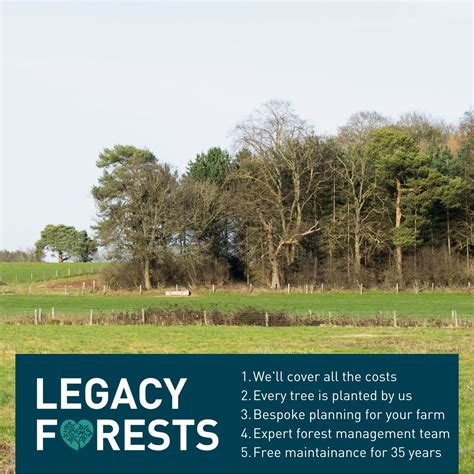 Lee Garner Posted On Linkedin