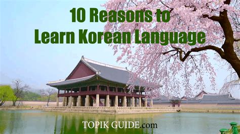 Top Reasons To Learn Korean Language Topik Guide The Complete