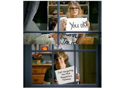 How Duane Mancini Explains Medtech Regulatory Path Matthew Miller Bs