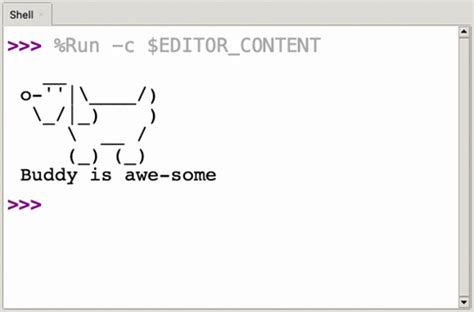 Solved Write A Python Program That Prints An ASCII Art Chegg