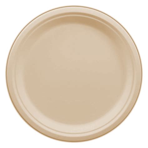 Table Accents Compostable Plates 10 Bagasse Dorfin