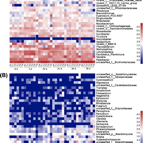 Heat Maps Of Top 30 Bacterial Genera A And Fungal Genera B In Water