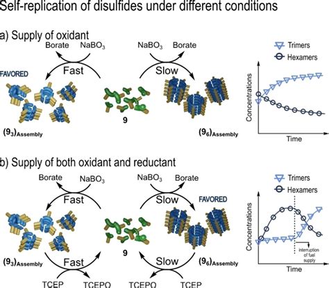 Dissipative Dynamic Libraries Ddls And Dissipative Dynamic Combinatorial Chemistry Ddcc
