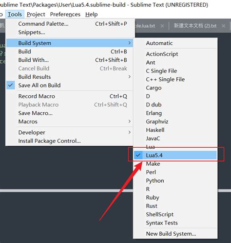 sublime text快速搭建lua语言运行环境 sublime lua csdn博客