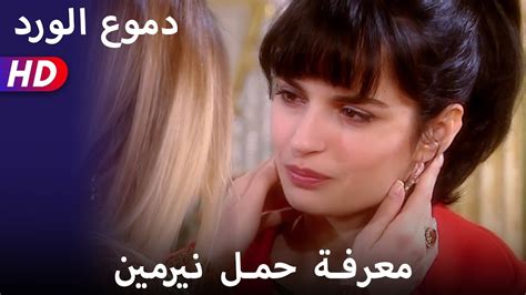 معرفة حمل نيرمين Youtube