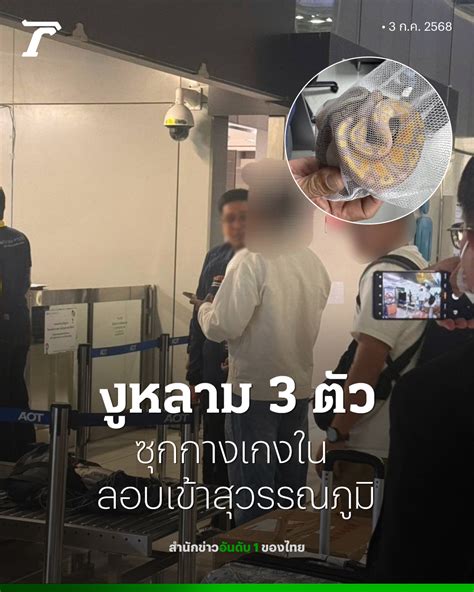 Thairath จับชายต่างชาติ ซุกงูหลามบอล 3 ตัว ในกางเกงใน ลอบเข้าสนามบินสุวรรณภูมิ พบพฤติการณ์