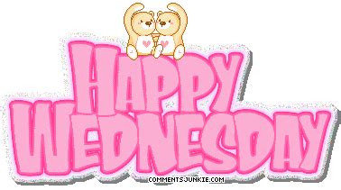 Pin By Antoinette On Humpday Greetings Novelty Christmas Happy Friday