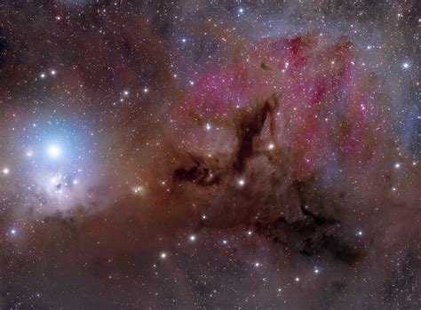Ic 348 Adam Block Fine Astrophotography