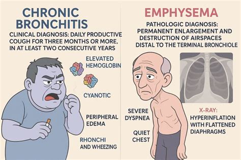 Bronchitis Vs Emphysema Two Copd Types Dr Anagha Worlikar Posted On The Topic Linkedin