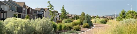 Riverside Ca Commercial Landscape Construction Services Brightview