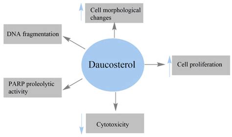 Natural Sources Pharmacological Properties And Health Benefits Of