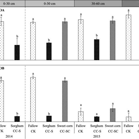 Eggplant Yield As Effected By Catch Crop Planting In The Over Winter