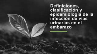Guia Practica De Ivu En El Embarzo Pptx