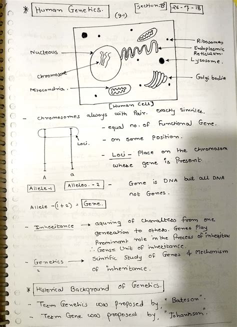 Srinivas Ias Anthropolgy Optional English Medium Handwritten Notes My Notes Guru