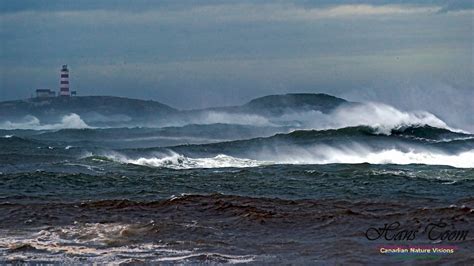 Angry Sea Sea Shoreline Natural Landmarks