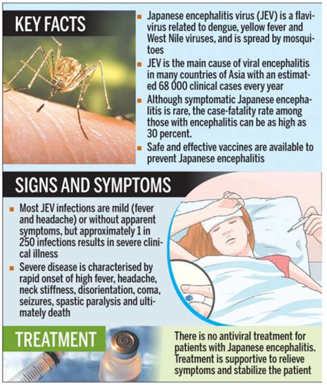 Japanese Encephalitis Gs Score