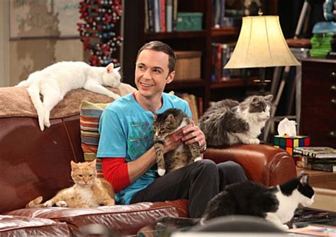 Sheldon Coopers Cats The Big Bang Theory Wiki Fandom Powered By Wikia