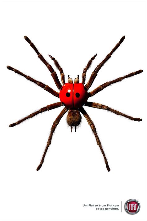 Fiat Owl Ladybug Rabbit • Ads Of The World™ Part Of The Clio Network