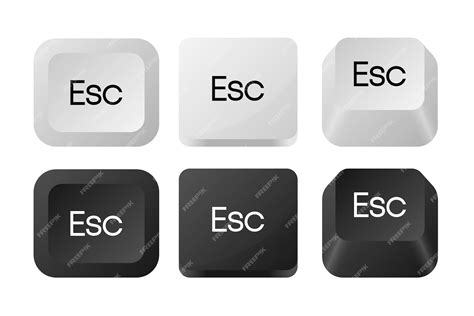 Premium Vector Esc Keyboard Button Icon Of Different Types Computer Button Isolated On White