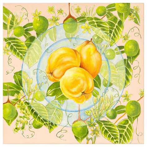 Mela Cotogna Medium 40cm X 40cm Debbie Waite Art