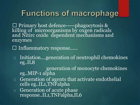 Non Respiratory Functions Of Lungs Pptx