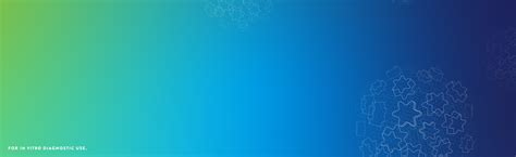 Abbott Molecular Diagnostic Assays And Instruments