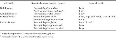 Knemidokoptinid Epidermoptidae Knemidokoptinae Mite Infestation In