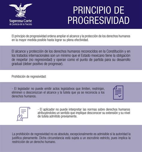Mr Abogados Conoce El Principio De Progresividad En